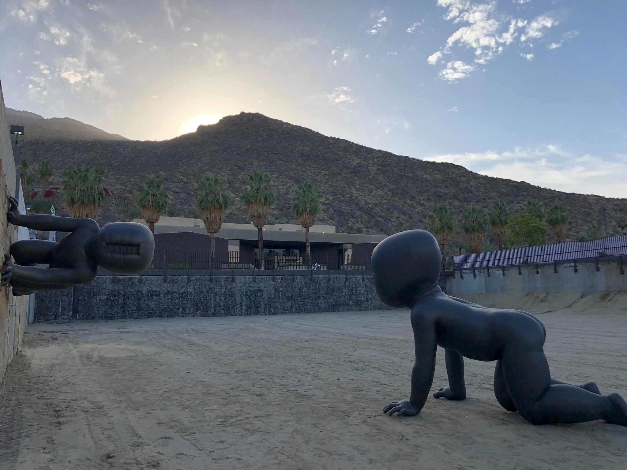 Bye, bye, Babies! - Desert Sun
